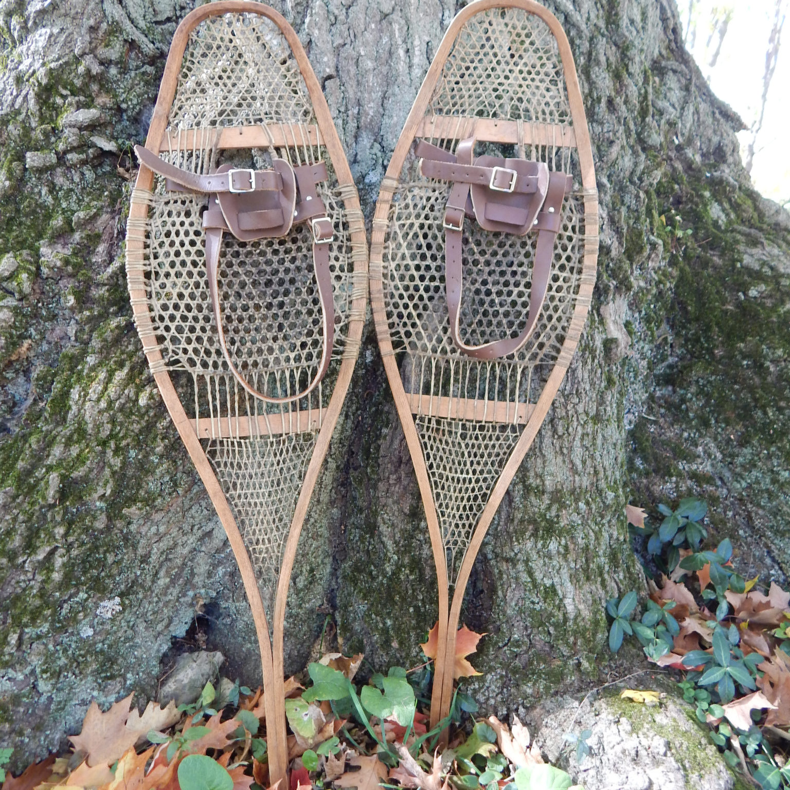 The Classics – Chapter 3 – Vintage Adirondack