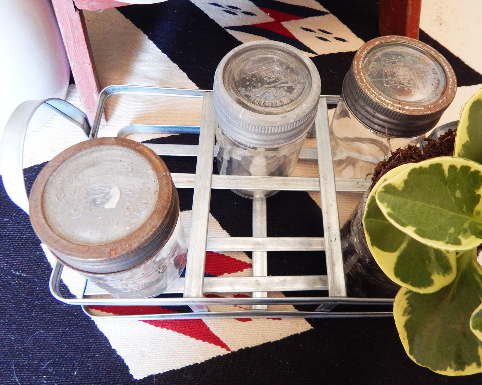 Spring Forward – Vintage Adirondack